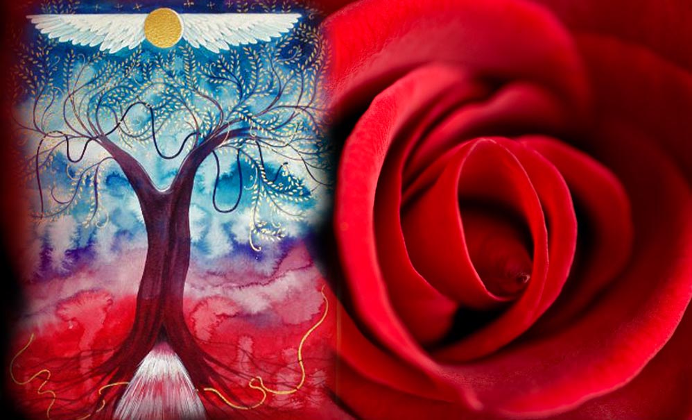 Female Energy Awakening Sessions – Wisdom Source Within